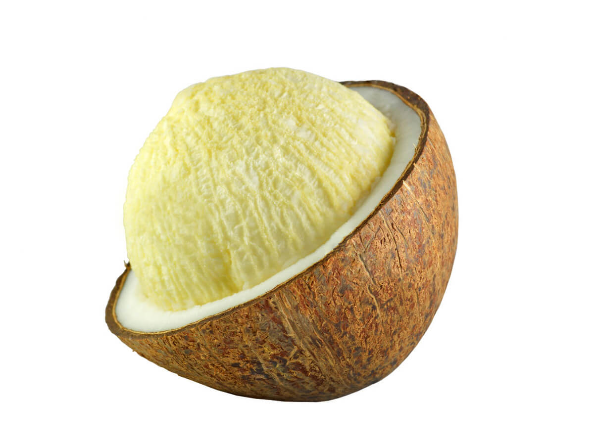 Gallery - Minhas Impex (Pvt) Ltd